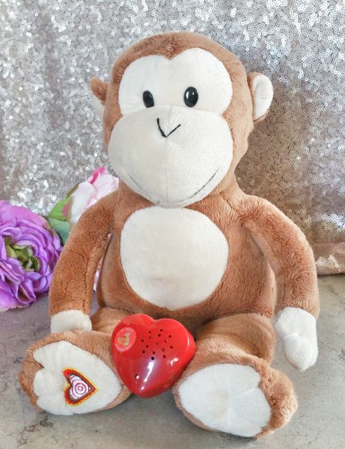 A Cherished Keepsake - My Baby's Heartbeat Bear - Honeygirlsworld ...