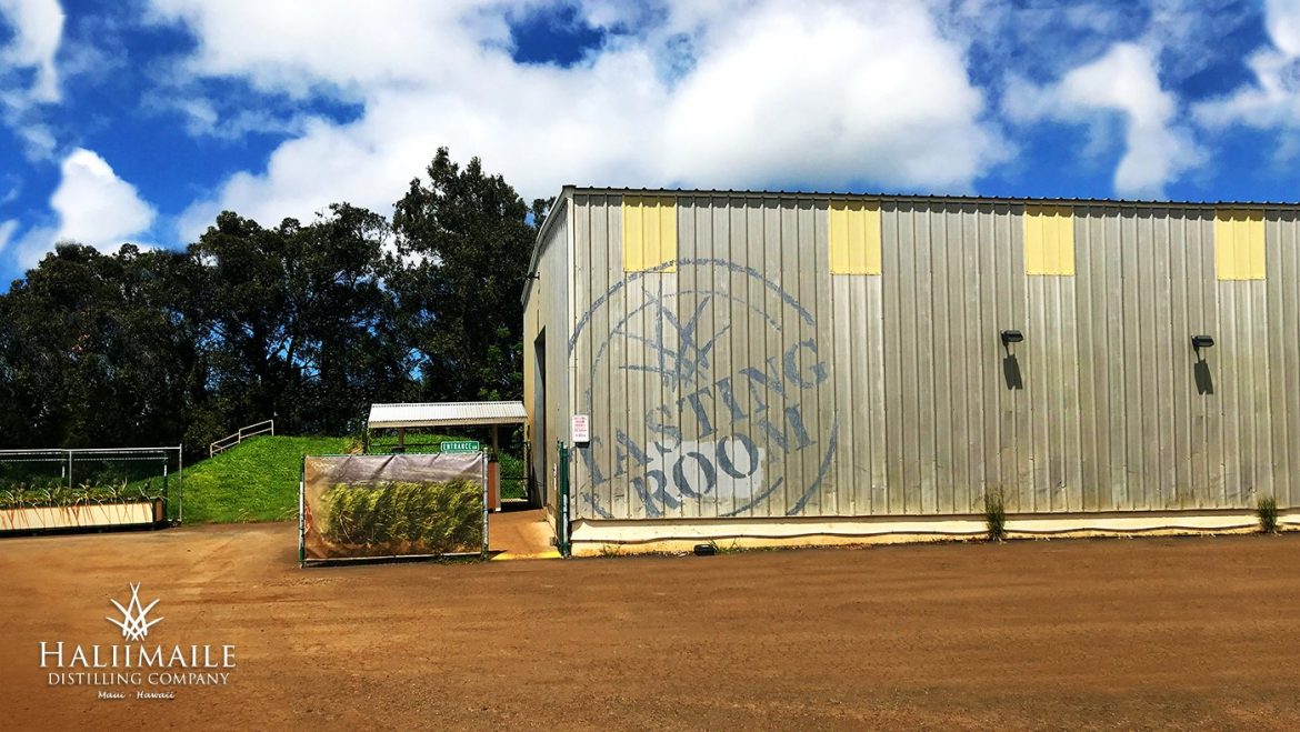 Top 10 Cheap and Affordable Maui Things To Do - Fun on a Budget ...